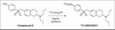 Radiolabeling Of 11 C Gr218231 Via Methylation Of Desmethyl Precursor