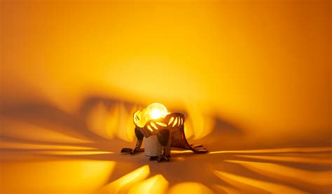 Objets Dart Lea Schroeder Studio