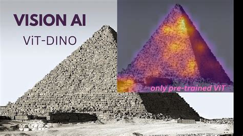 Visualizing The Self Attention Head Of The Last Layer In Dino Vit A Unique Perspective On