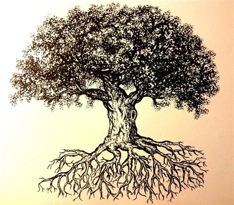 Tree Ink Drawing Oak Tree Drawings Tree Drawing Tree Roots Tattoo
