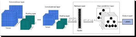 The Reshape Layer Re Adjusts The Shape Of The Data Tensor To The