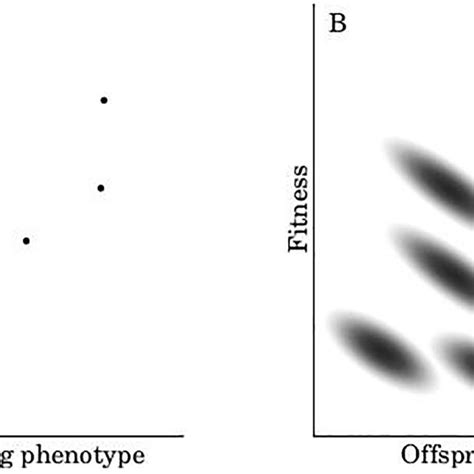 Distinguishing Between Frequency And Probability Operations