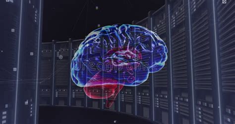 Animation Of Human Brain Over Computer Servers Stock Video Video Of
