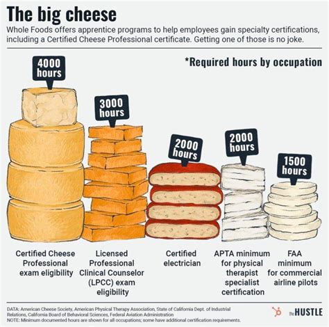 Councilmember Saw This Certified Cheese Professional Certificate From Whole Foods Market And