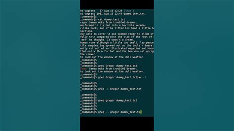 Grep Command Bashscripting Linuxcommandlinetutorial Linuxforbeginners Linuxterminalcommands