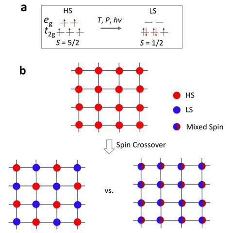 常州大学吴大雨团队angew：自旋转变效应促进高选择性光还原co2 X Mol资讯