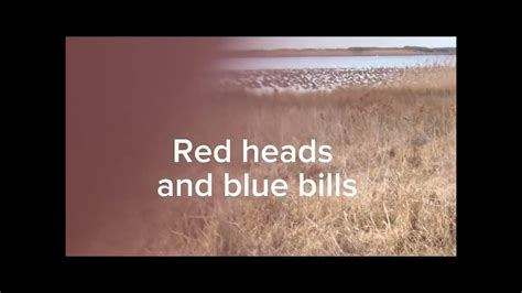 Killum Guide Service Youtube