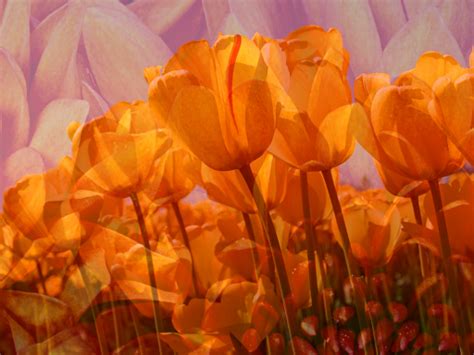 Arithmetic Composite Effect Win32 Apps Microsoft Learn