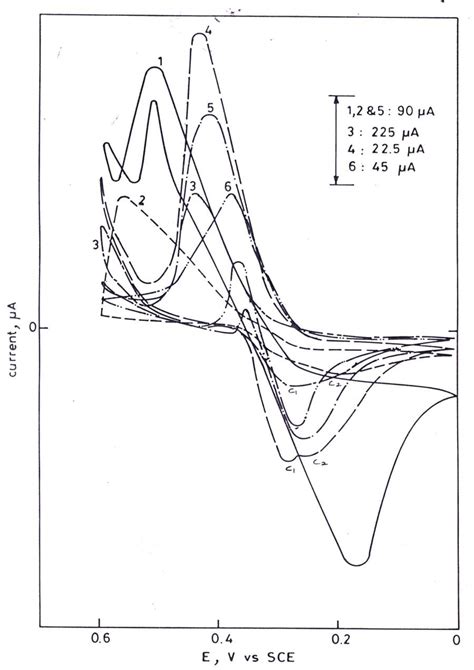 Cyclic Voltammograms Of Mercury Dissolution In The Presence Of Aspartic Download Scientific