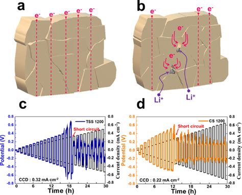 A Schematic Of Cs 1200 With Uniform Current Distribution And B Tss Download Scientific