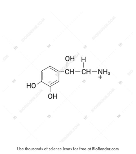 Norepinephrine Chemical Structure