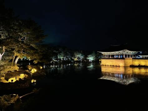 경주 야경 명소 동궁과 월지 첨성대 월정교 야경투어 네이버 블로그