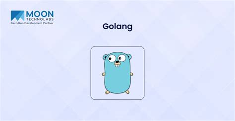 Top Programming Languages For Mobile App Development In 2025