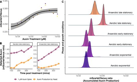 genetically encoded noise tolerant auxin biosensors in yeast acs