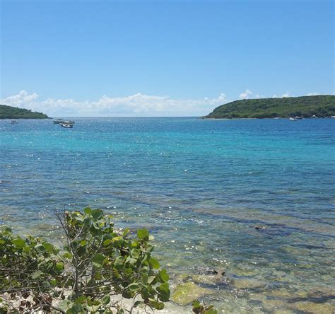 Vieques Island Isla De Vieques Qué Saber Antes De Ir 2026