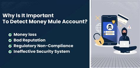 What Is Mule Hunter Ai Rbis Latest Tool To Tackle Financial Fraud
