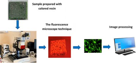Principle And Steps For Image Processing Download Scientific Diagram