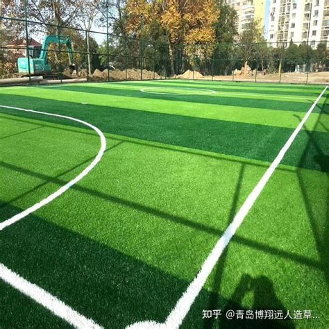 建一个5人制足球场要多少钱？ 知乎