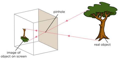 12 1 Radiation Of Light Visible Light Siyavula