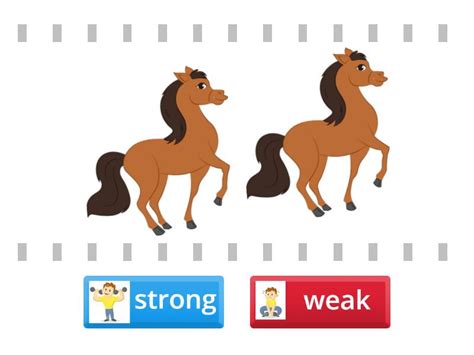 Strong Vs Weak True Or False