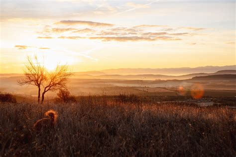 А колко съм притеснена само аз си знам 🫣 Книгата ще е за седеммесечното ми соло приключение из