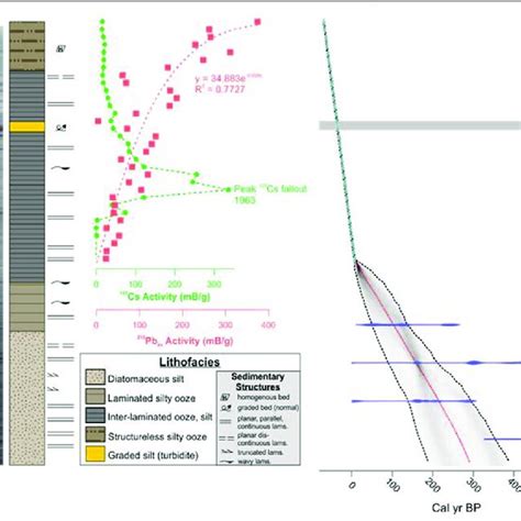 High Resolution Photo X Radiograph Dense Dark Interpreted