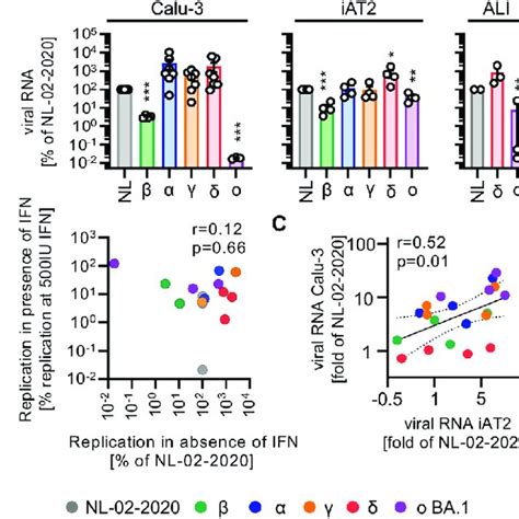 Ifn Sensitivity Of Sars Cov 2 Variants In Ipsc Derived Iat2 Cells A