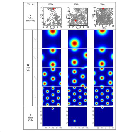 Functional Verification Of Robot Bionic Cognitive Model A The Gray