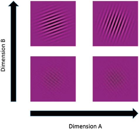 The Stimulus Space Varied Along Two Dimensions Orientation Dimension Download Scientific