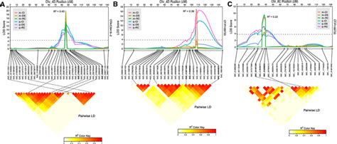 Comparison Of Composite Interval Mapping Of A Qpcapr 4d1 B Download Scientific Diagram