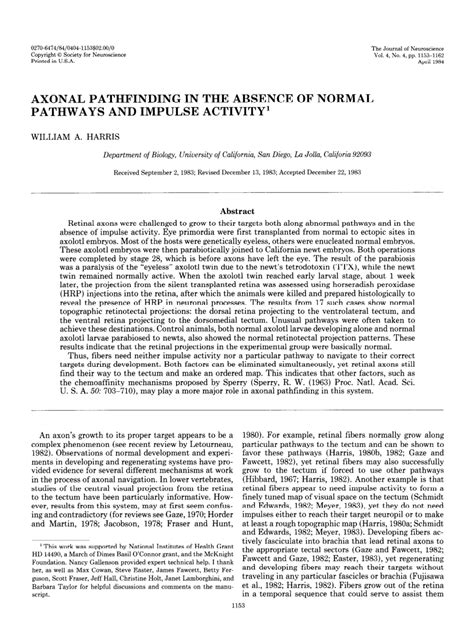 Pdf Axonal Pathways In The Absence Of Normal Pathways And Impulse