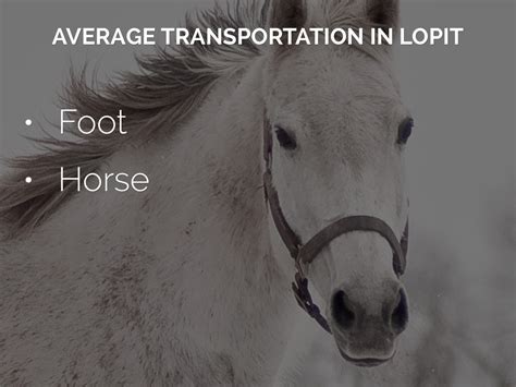 Comparing Susans Cities And Villages By Saeed Kadahr