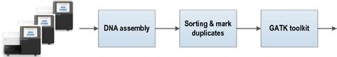 Dna Analysis And Variant Calling Pipeline Download Scientific Diagram