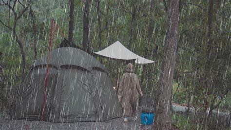잡생각을 지워주는 숲 속 우중캠핑 솔캠 ☔ I 미니화로에 소고기와 와인 I 이그니스 쉘터 I 우중 솔캠 I 솔로캠핑 I 여자