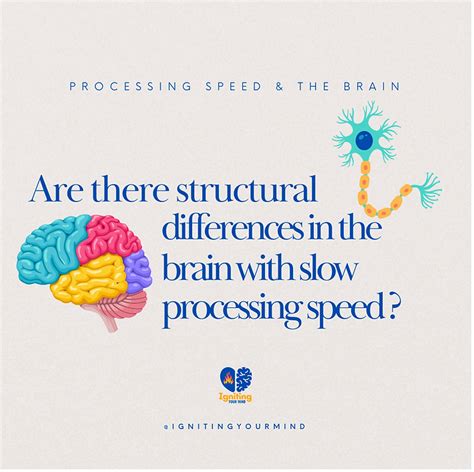Speed Matters Understanding The Importance Of Processing Speed