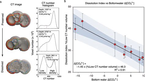 Test Dissolution Process And Ct Based Proxy Calibration With Deep Water Download Scientific