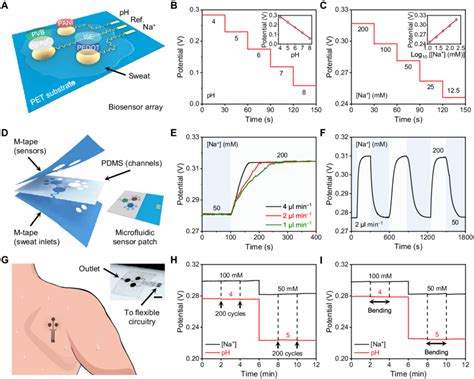 Characterization Of The Microfluidic Based Biosensor Patch In Vitro