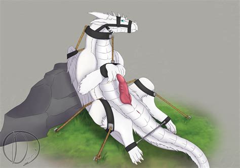 Rule 34 Animal Genitalia Animal Penis Anus Bondage Bound Claws Collar