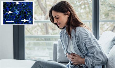 Six Months Of Diet Followed By Millions Forces Liver Into Survival