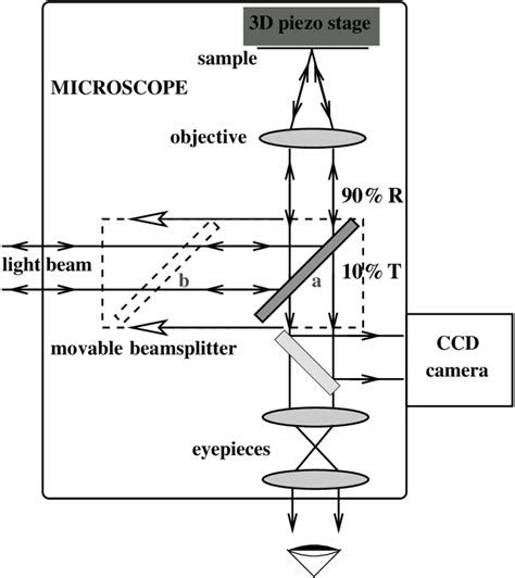 10 Microscope And Light Path Download Scientific Diagram