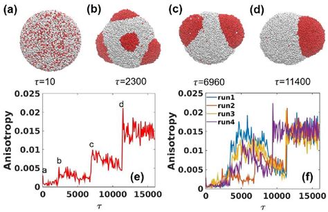 Figure 7 From Morphology Evolution Of Janus Dumbbell Nanoparticles In Seeded Emulsion