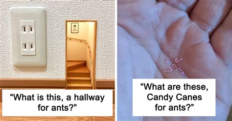 20 Delightful Pics Of Tiny Objects That Might Brighten Your Day DeMilked