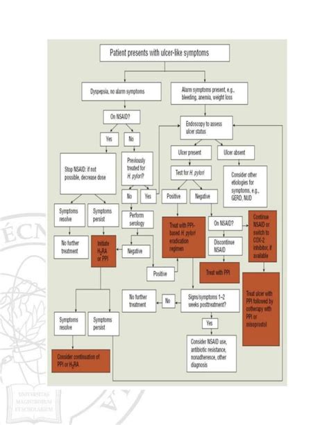 Ulcer Peptic Algorithm Docx Digestive Disorders Diseases And