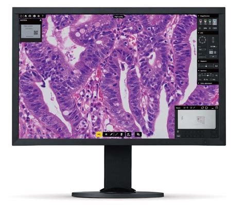 Nikon Introduces The Eclipse Ui Upright Digital Microscope News