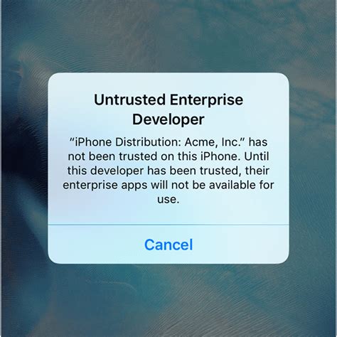 How To Trust An App On Iphone