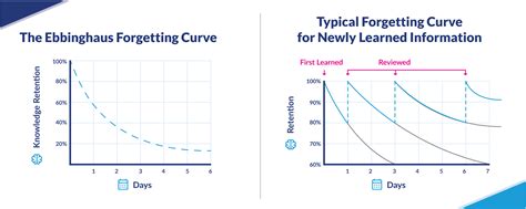 Learning To Learn Effective Study Habits And How Parents Can Support BSN Voices