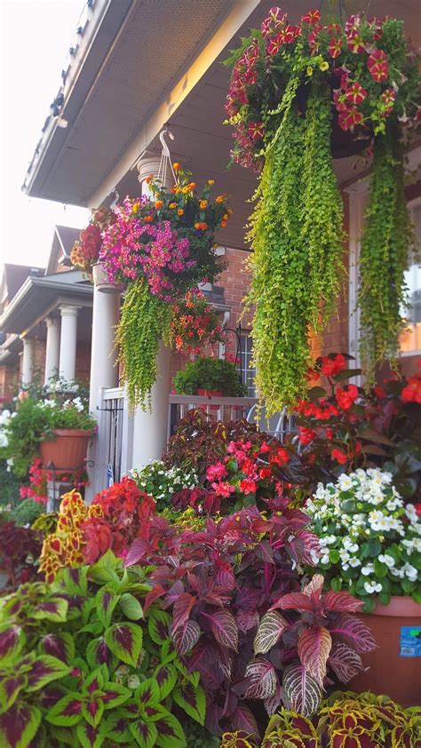 Pin By Adriana On Sembrar Plantas Garden Inspiration Diy Garden