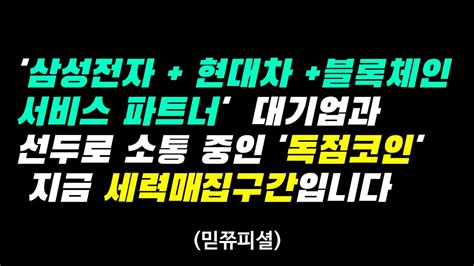 삼성전자 현대차 블록체인 서비스 파트너 대기업과 선두로 소통중인 독점코인 지금 세력매집구간입니다 믿쮸피셜