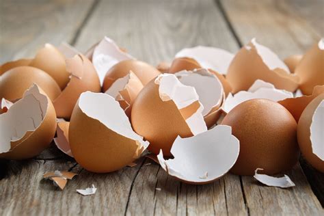 Hybridizing Epoxy Composites With Egg Shell Powder Plastics Engineering