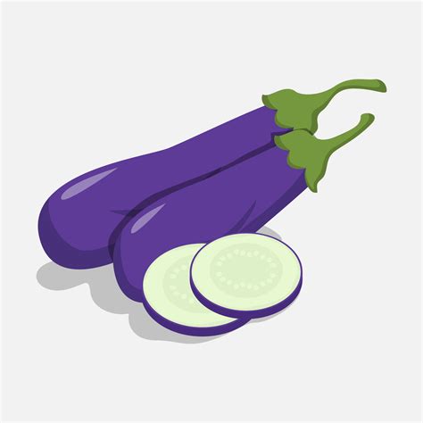 Eggplant Vector Illustration 10140469 Vector Art At Vecteezy